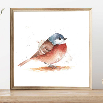 Watercolor Birds for Beginners Course – Willow Wolfe Inc