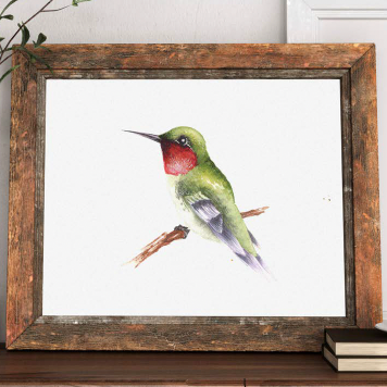 Watercolor Birds for Beginners Course – Willow Wolfe Inc